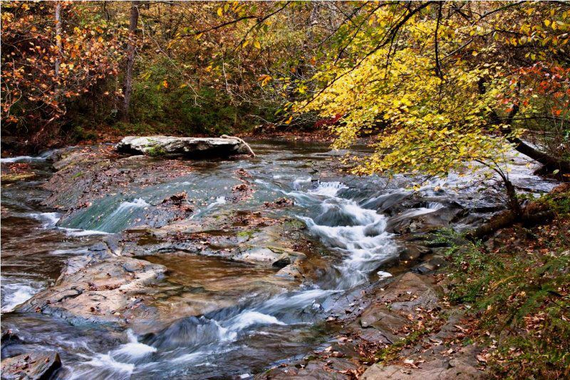 Stunning Beauty – Turkey Creek Nature Preserve