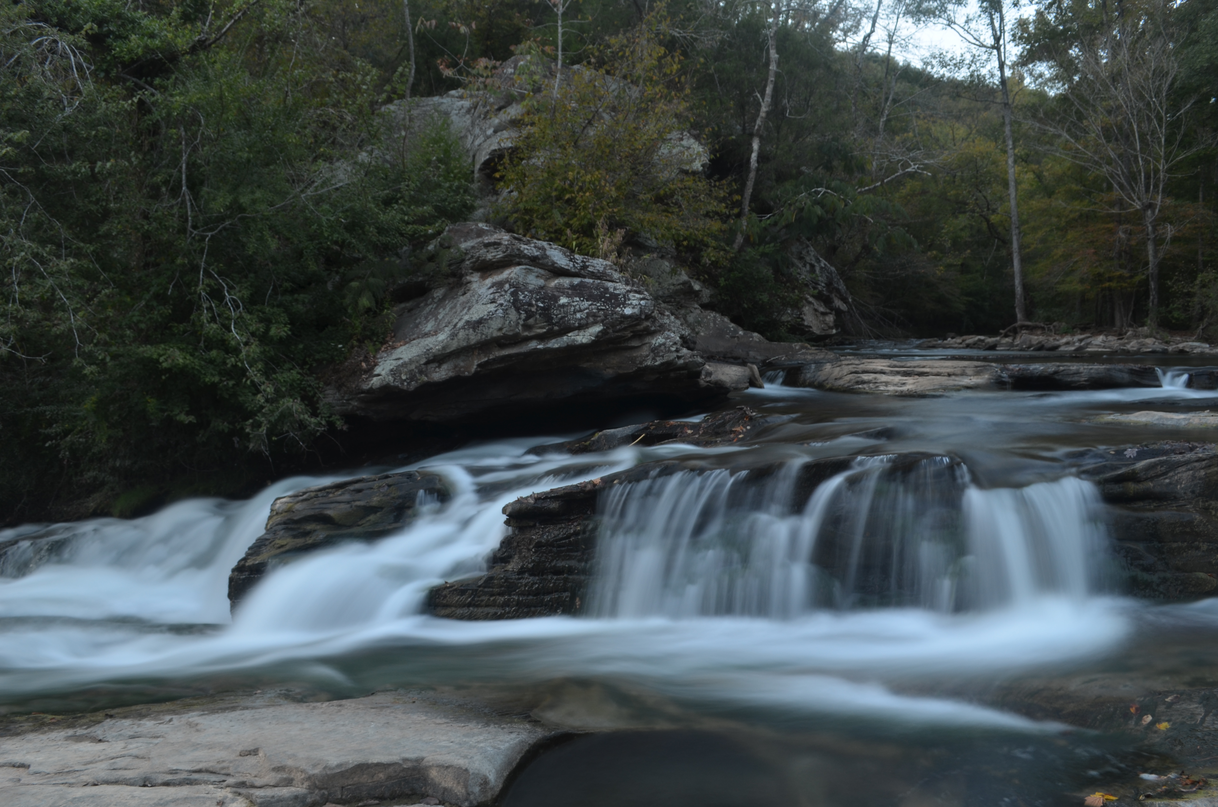 Stunning Beauty – Turkey Creek Nature Preserve