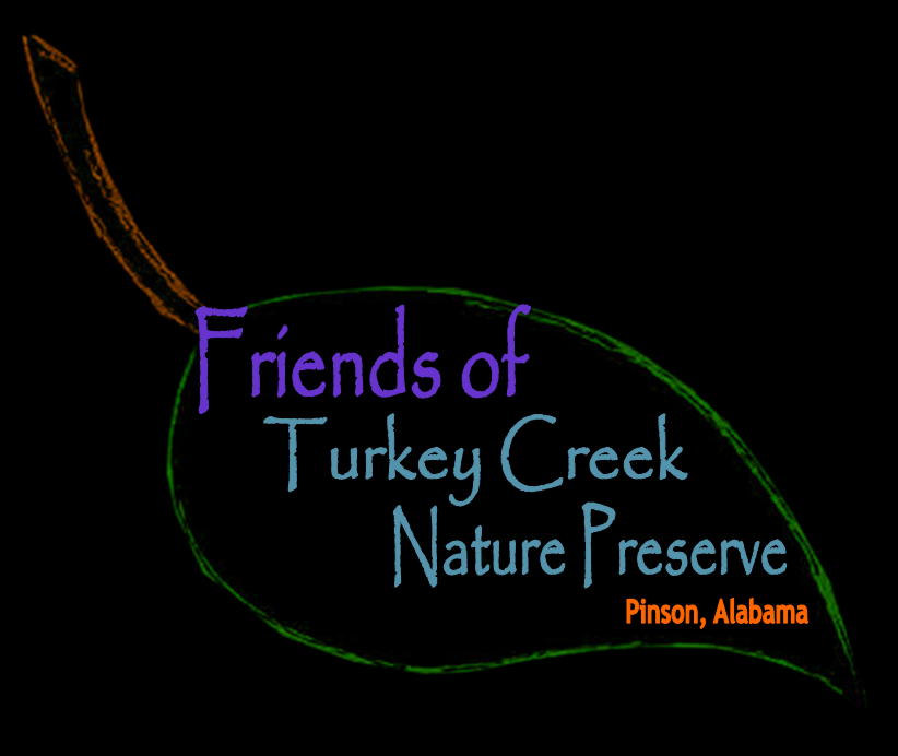 FOTC Logo – Turkey Creek Nature Preserve